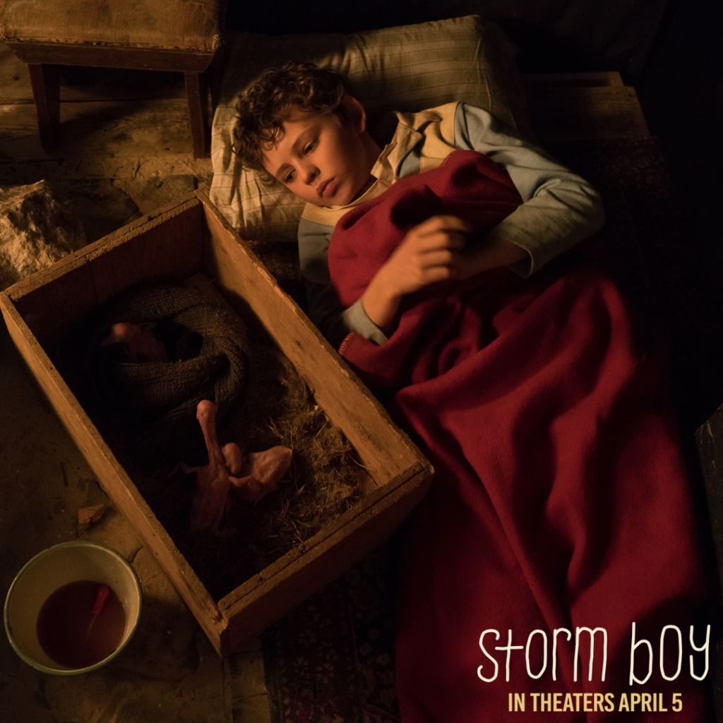 Storm Boy DVD based on the book by by Colin Thiele - Mama Likes This