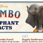 Dumbo How To Juggle Activity Page | Mama Likes This