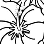 Pretty Pretty Hibiscus Flower Craft | Mama Likes This