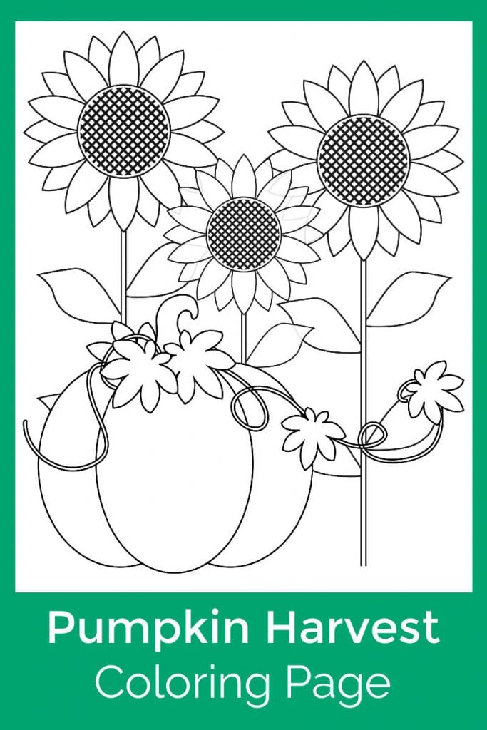 Pumpkin Harvest Coloring Page - Mama Likes This