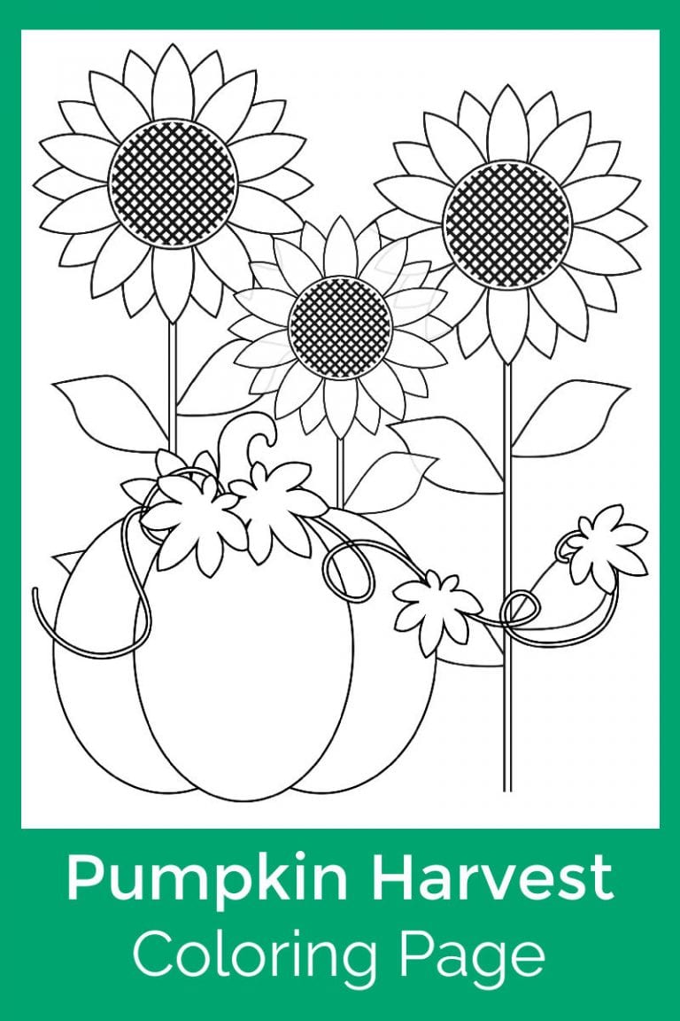 Pumpkin Harvest Coloring Page - Mama Likes This