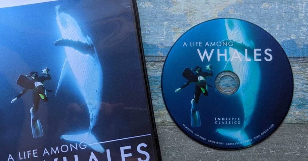 A Life Among Whales Documentary DVD - Mama Likes This