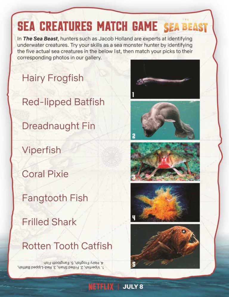 Free Printable Sea Beast Activity Packet - Mama Likes This