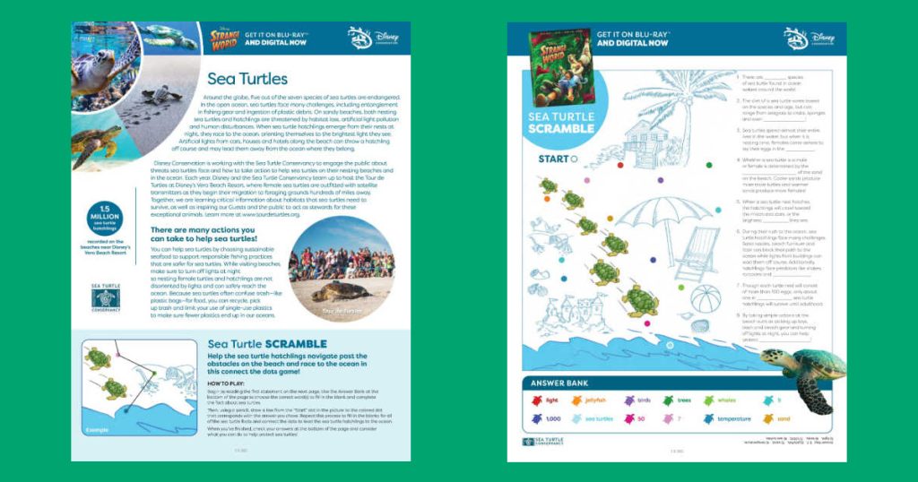 Free Printable Sea Turtle Activity Pages - Mama Likes This