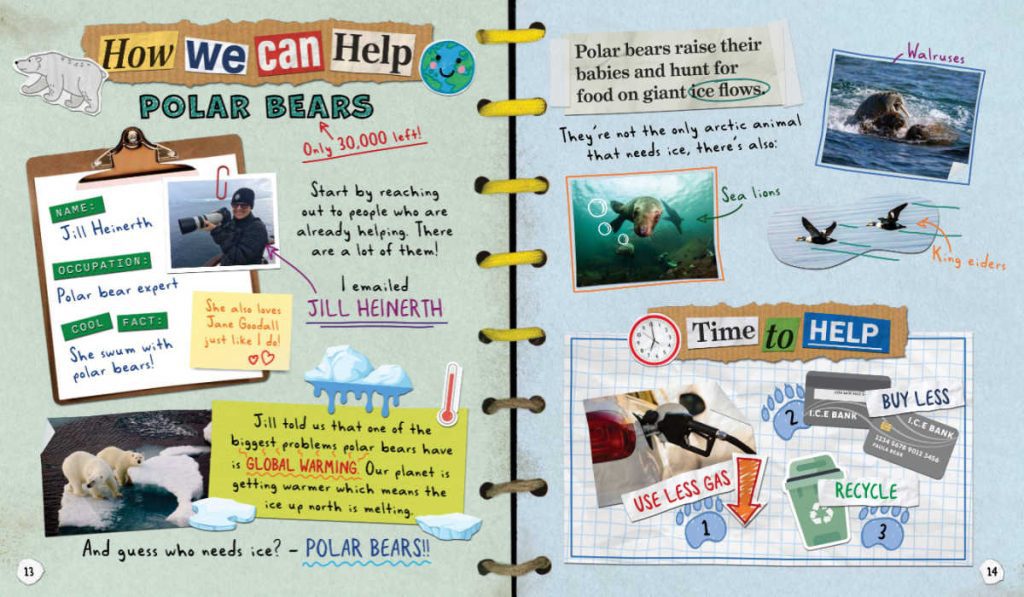 Jane TV Show Printable Polar Bear Guide - Mama Likes This