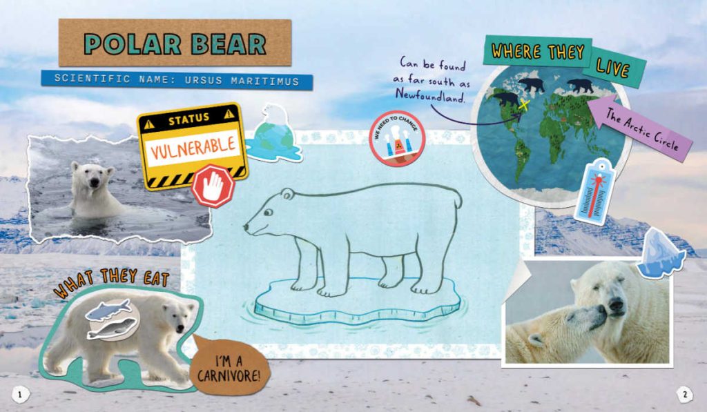 Jane TV Show Printable Polar Bear Guide - Mama Likes This