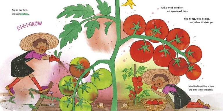 Miss MacDonald Has a Farm Picture Book - Mama Likes This