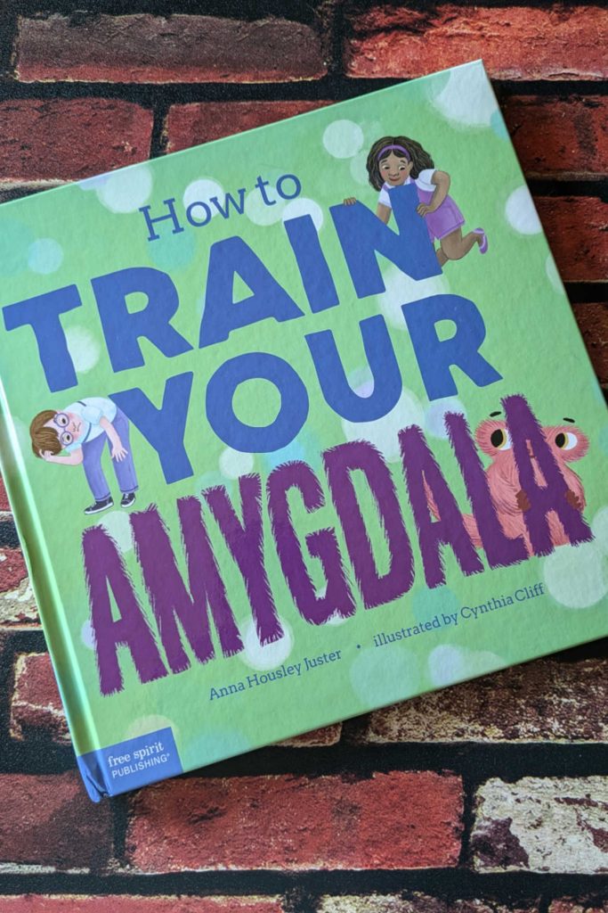 How to Train Your Amygdala Book - Mama Likes This