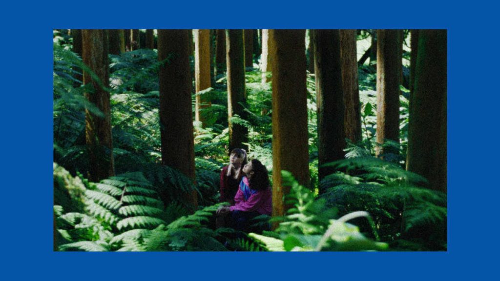 Wolf and Dog DVD - Mama Likes This