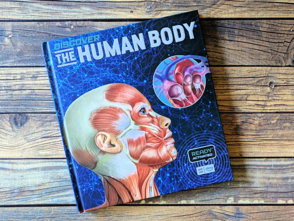 🔎Discover: The Human Body Book - Mama Likes This