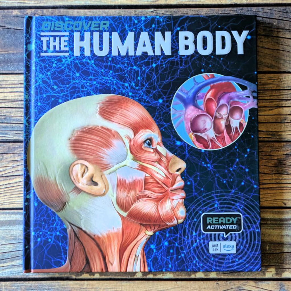 🔎Discover: The Human Body Book - Mama Likes This